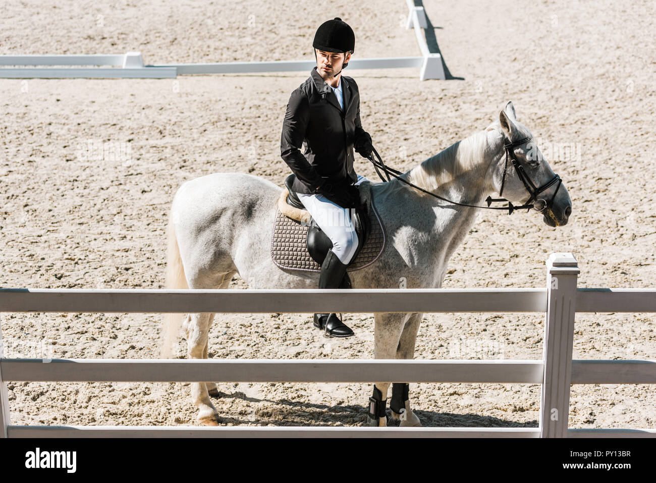 side view of handsome male equestrian in professional apparel sitting ...