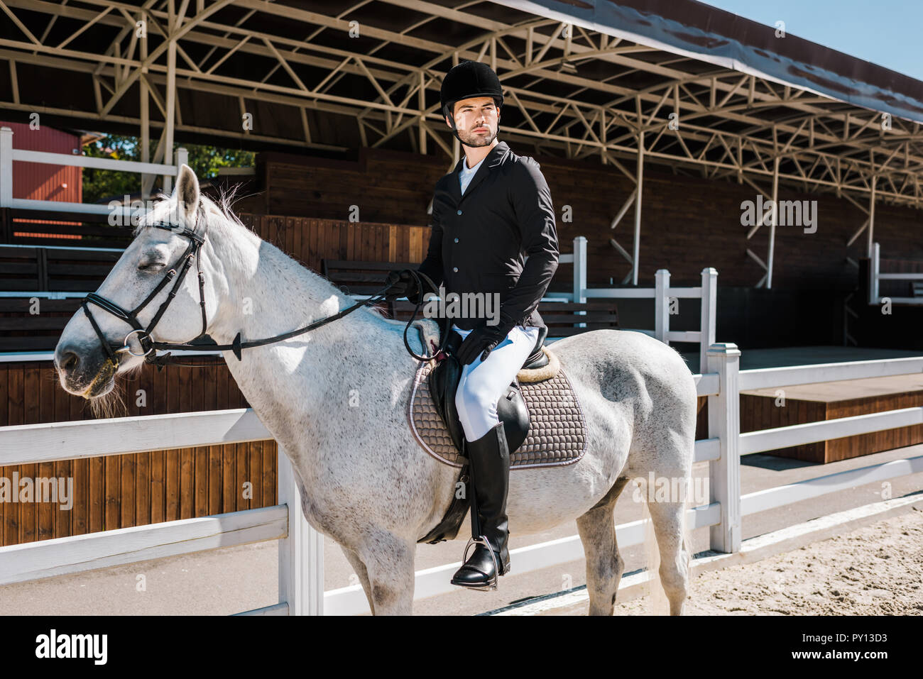 handsome male equestrian riding white horse at horse club Stock Photo ...