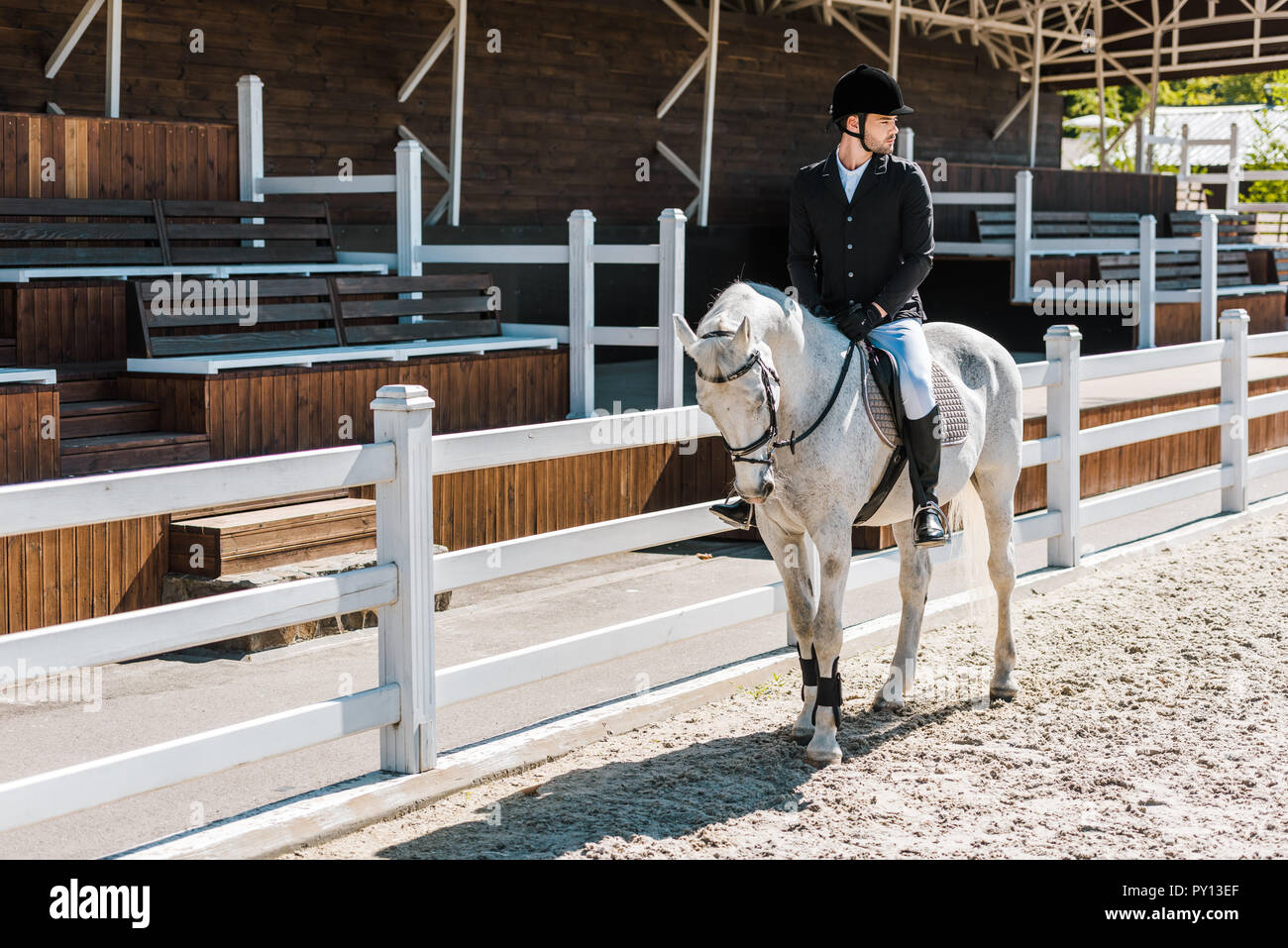 handsome male equestrian riding horse at horse club Stock Photo - Alamy