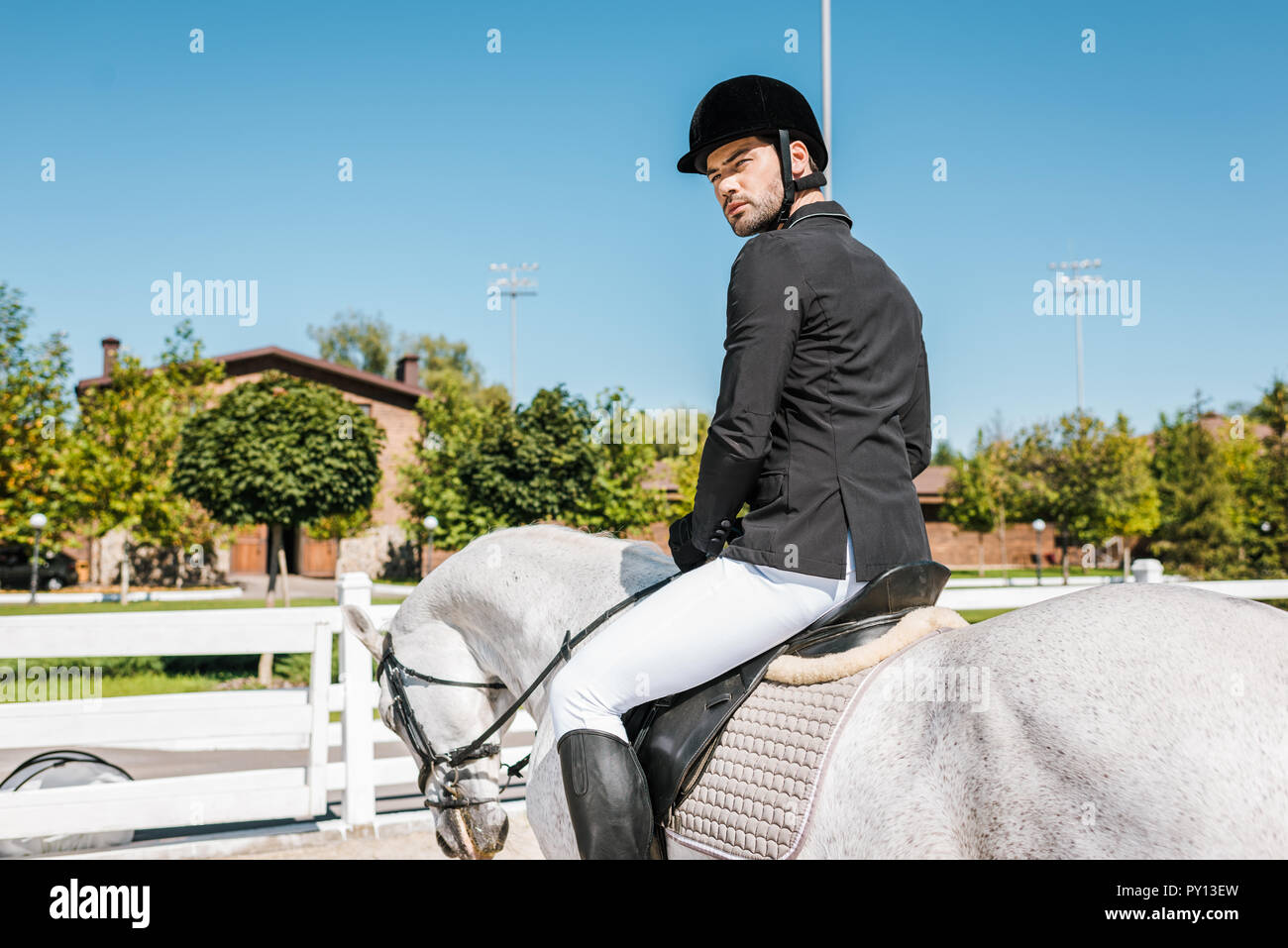 handsome male equestrian in professional apparel sitting on horseback ...