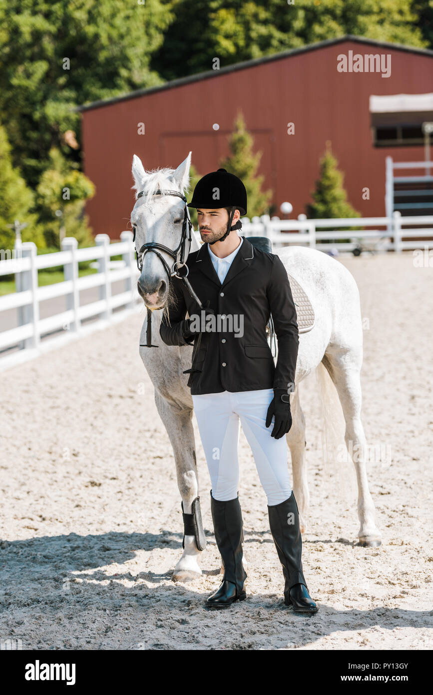 handsome male equestrian standing near horse and looking away at horse ...