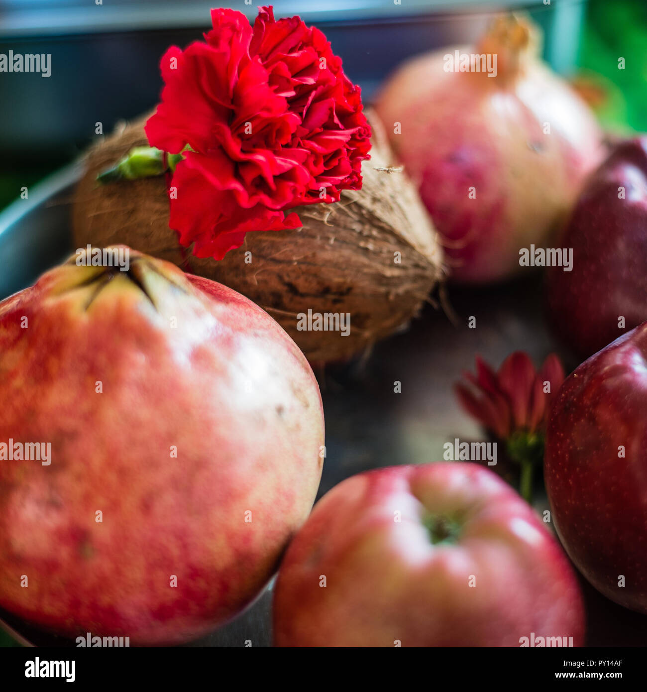 Puja coconuts hi-res stock photography and images - Alamy