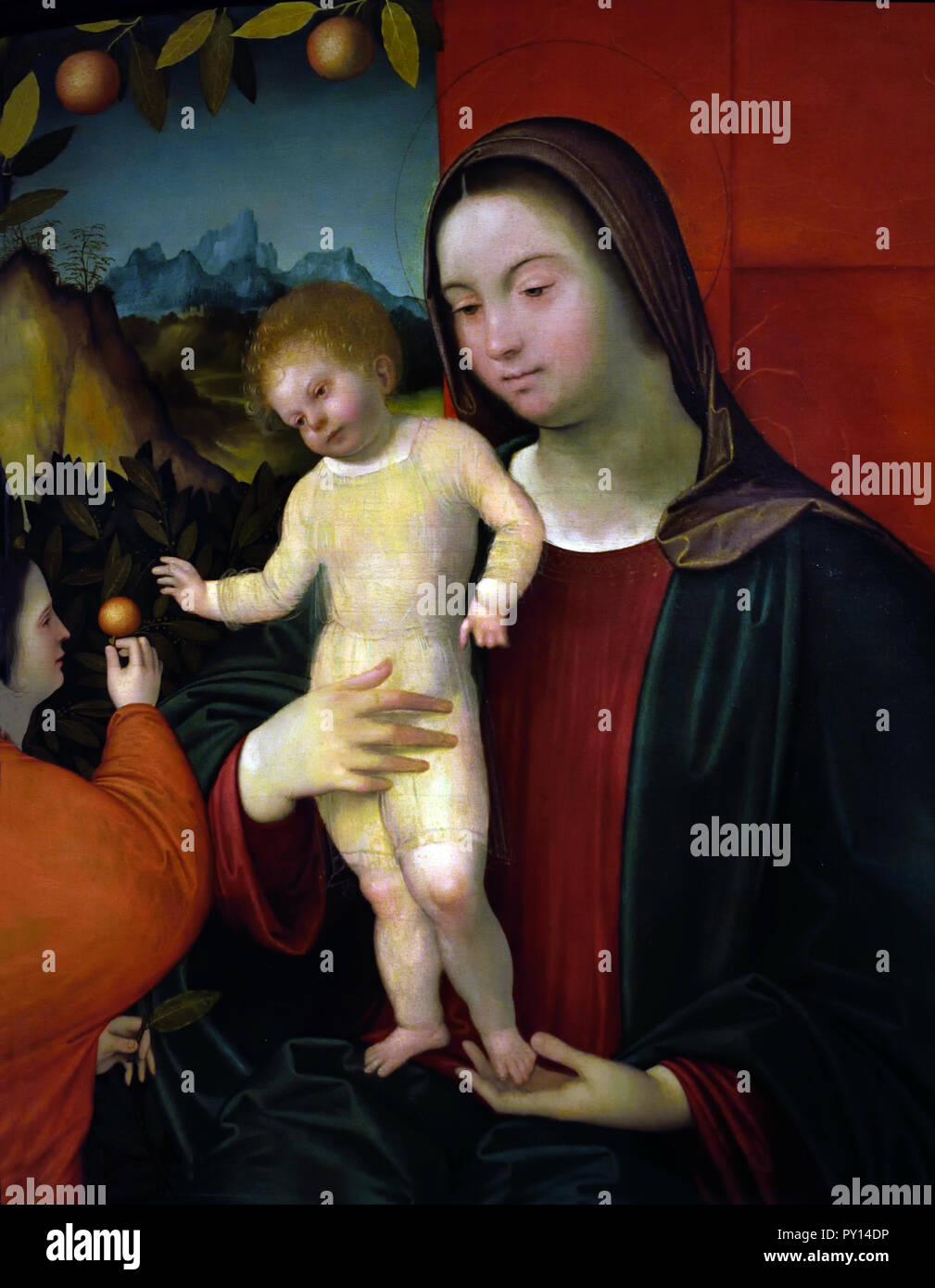 1470 1519 hi-res stock photography and images - Alamy