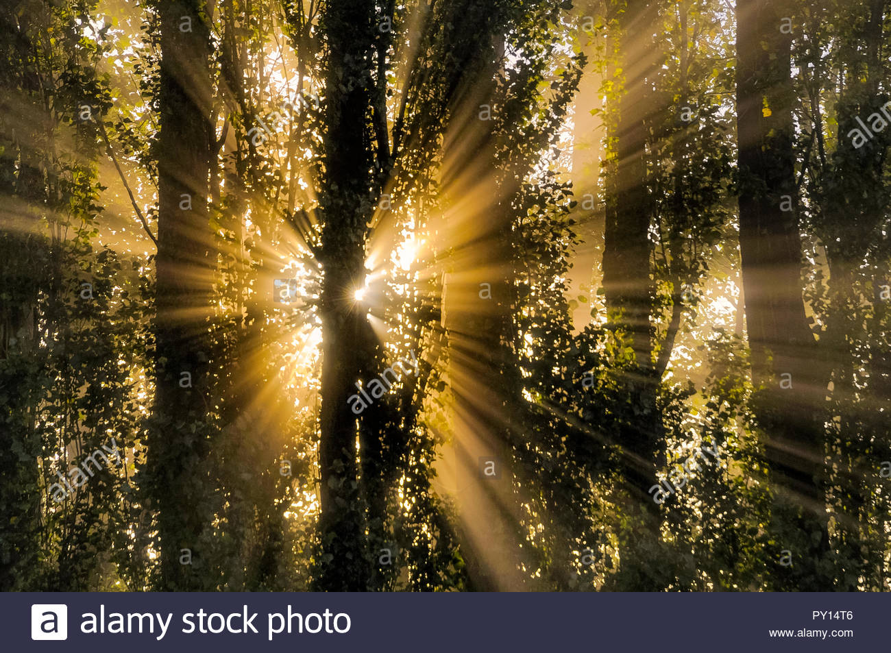 Angel Rays Stock Photos & Angel Rays Stock Images - Alamy