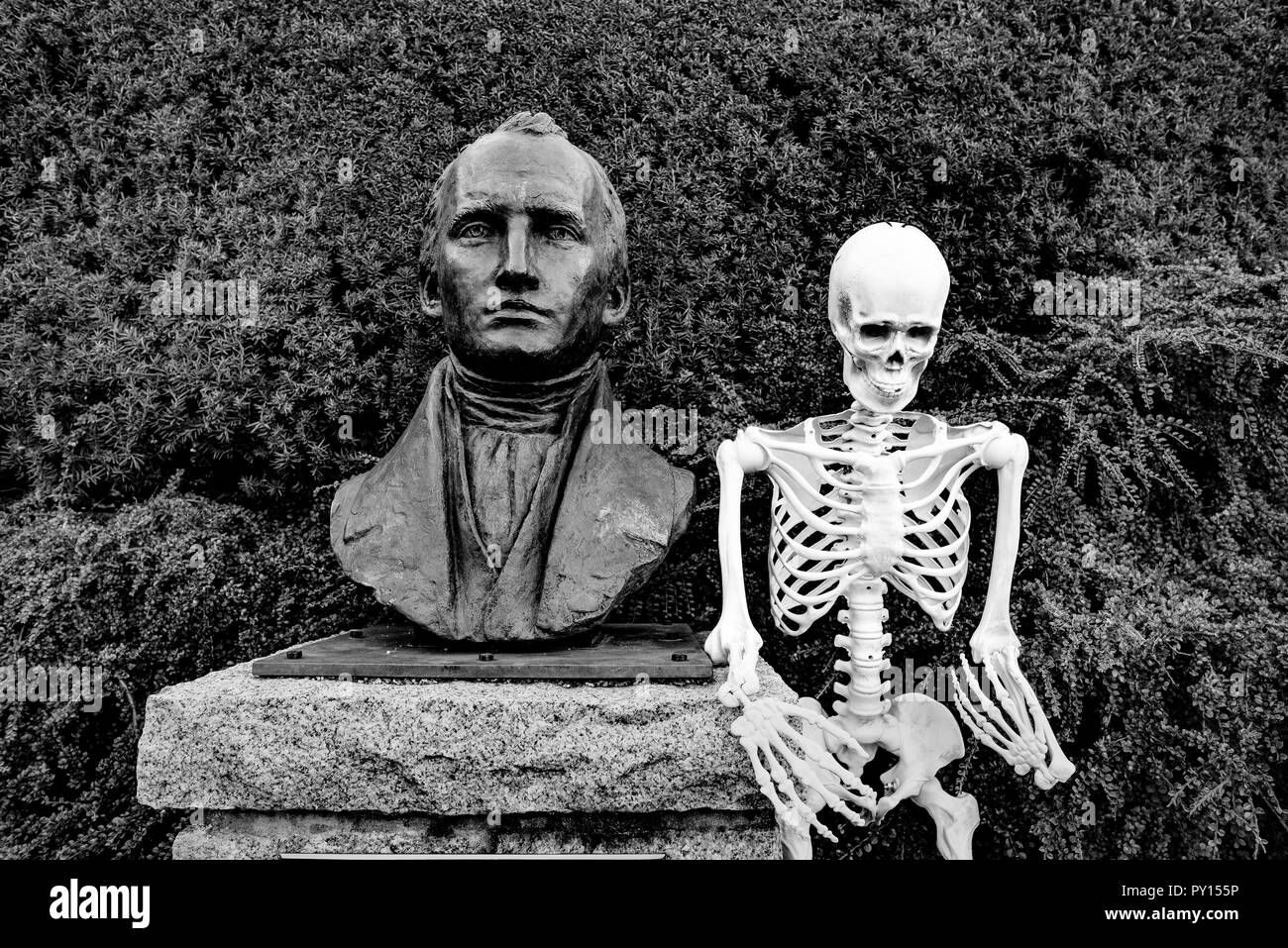 Skeleton beside bust of botanist David Douglas, Van Dusen Botanical ...