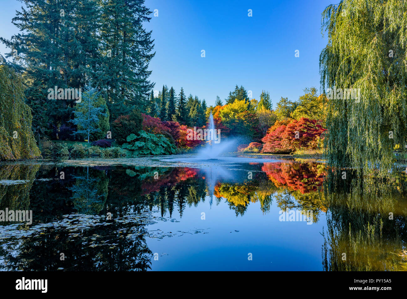 Vancouver Autumn Colour High Resolution Stock Photography and Images ...
