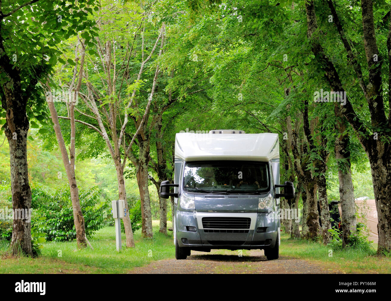 Camper driving through a forest at a camping in France Stock Photo - Alamy