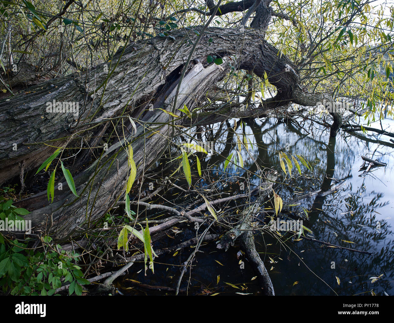 Worsbrough basin hi-res stock photography and images - Alamy