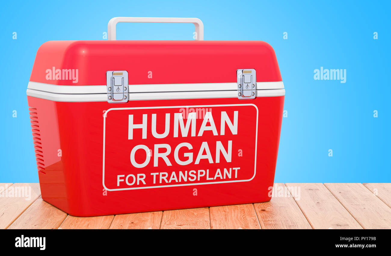 Organ transport box hi-res stock photography and images - Alamy