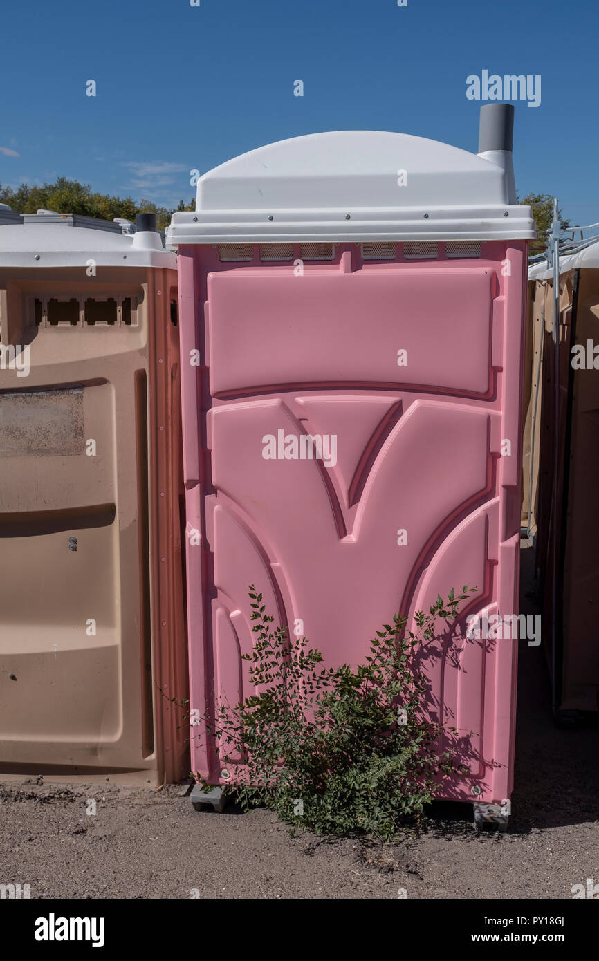 pink potty Stock Photo - Alamy