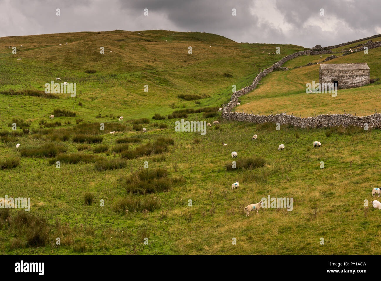 Characteristic agriculture hi-res stock photography and images - Alamy