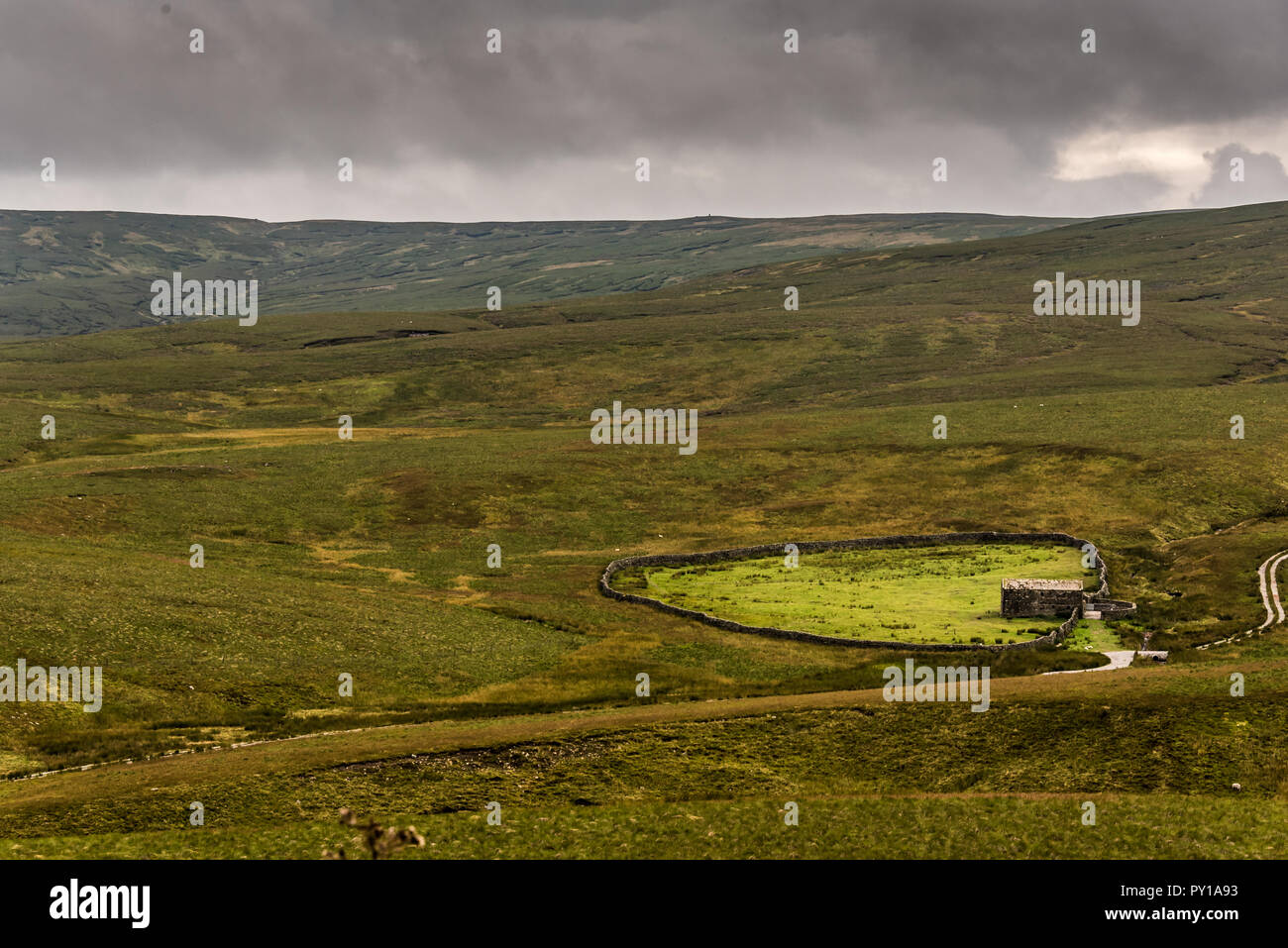 Landscape with green meadow in yorkshire Dale Stock Photo - Alamy