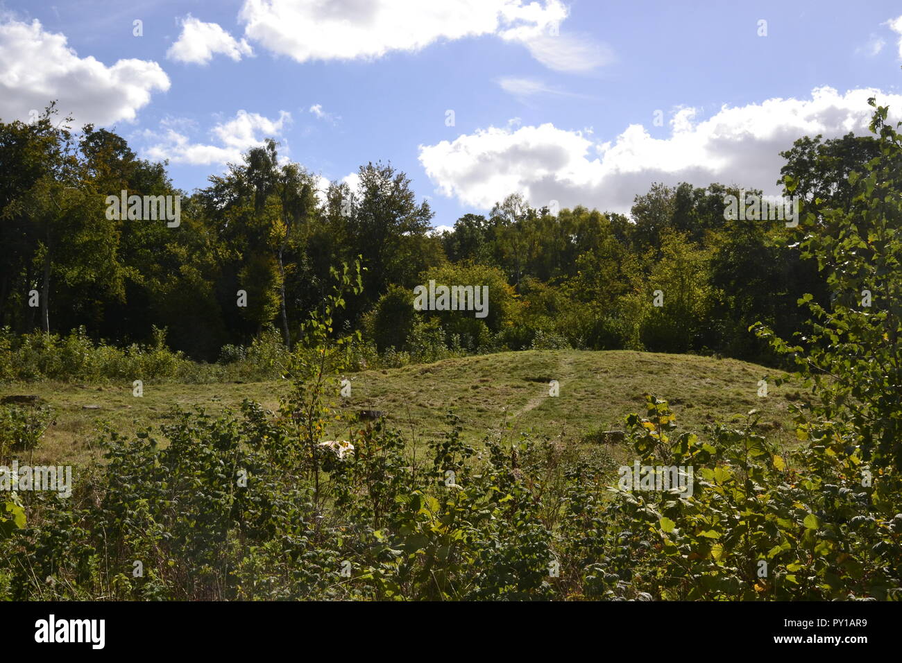 Cursus barrows. Ancient burial mounds or barrows in Stonehenge Cursus ...