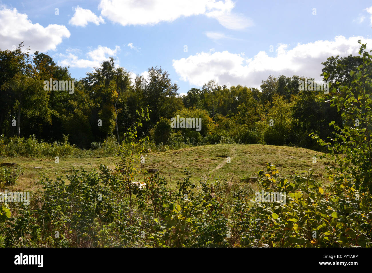 Cursus barrows. Ancient burial mounds or barrows in Stonehenge Cursus ...