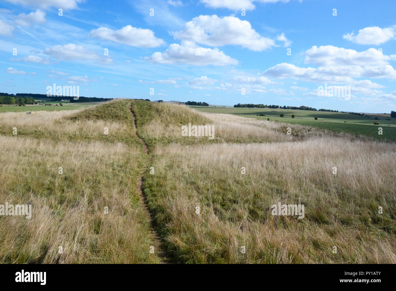 Long grass at stonehenge hi-res stock photography and images - Alamy