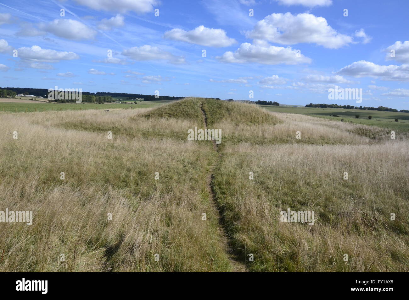 Cursus barrows. Ancient burial mounds or barrows in Stonehenge Cursus ...