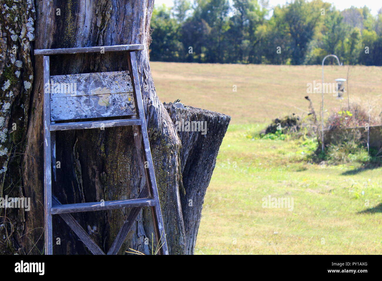Antique prop scene hi-res stock photography and images - Alamy
