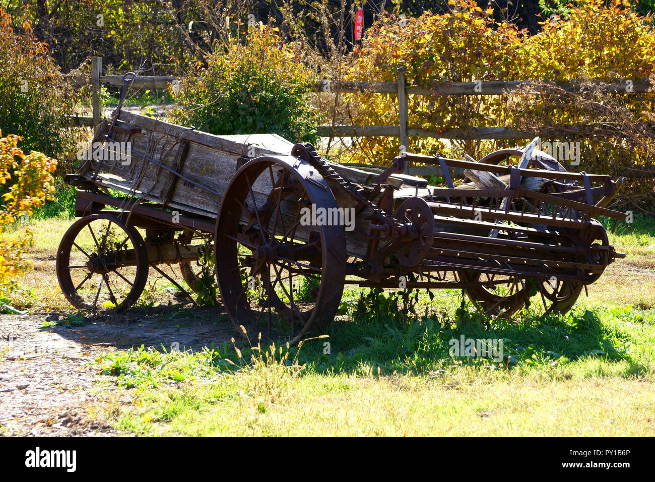 Spreader of gold hi-res stock photography and images - Alamy
