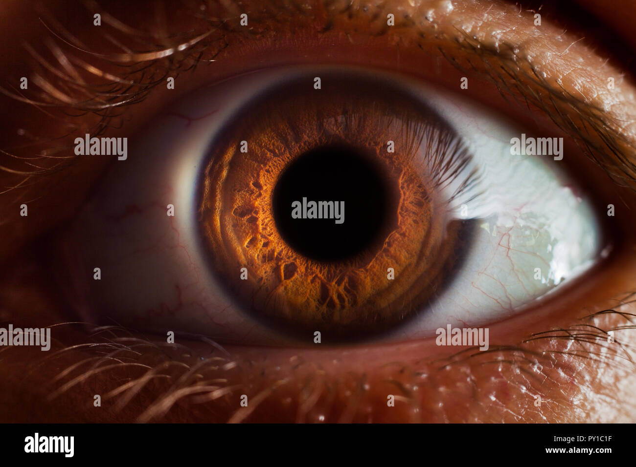Human eye close up wide pupil hi-res stock photography and images - Alamy