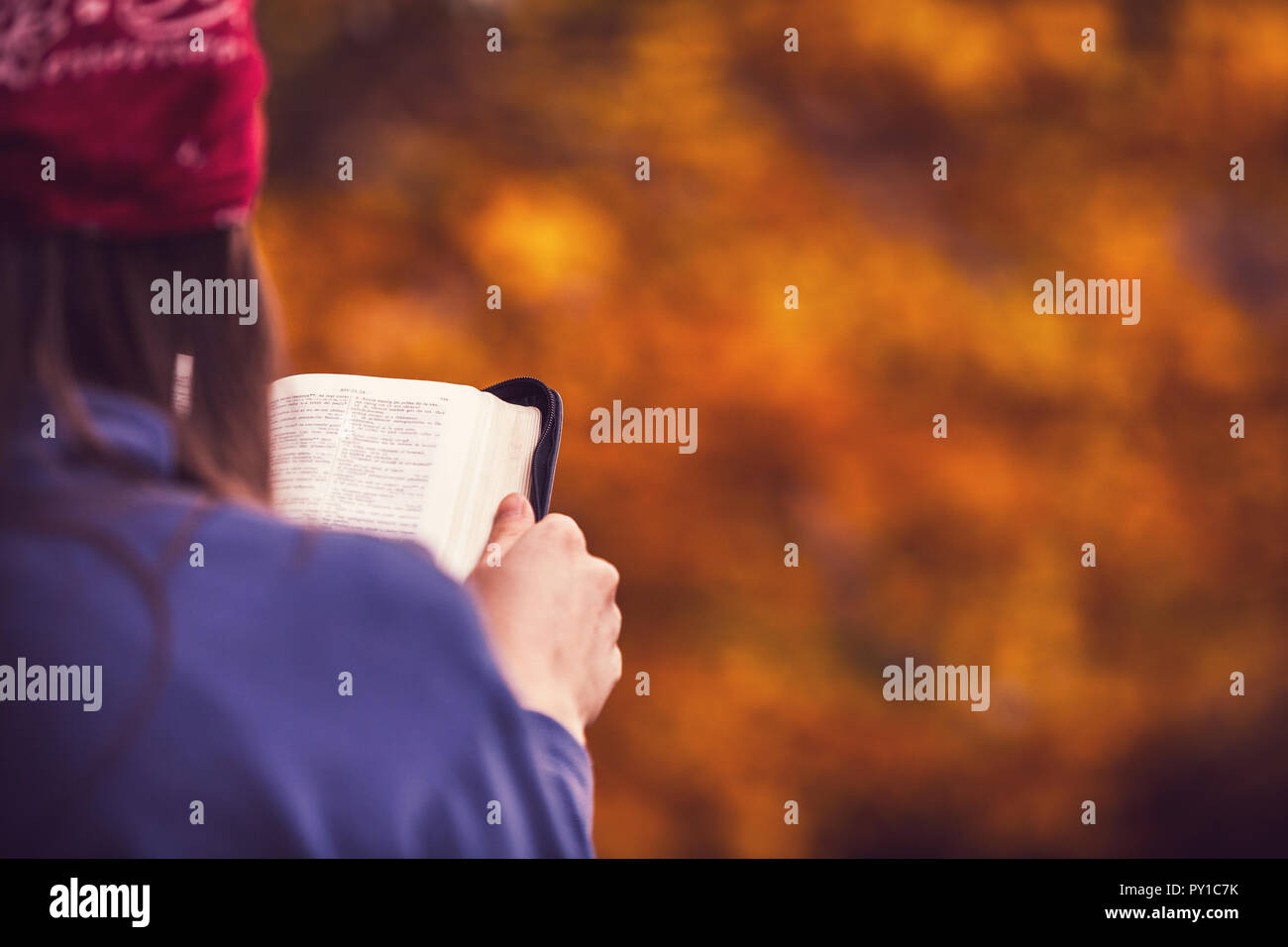 Reading bible in autumn hi-res stock photography and images - Alamy