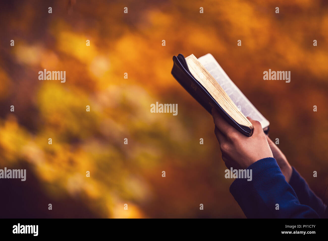 Girl studying her bible hi-res stock photography and images - Alamy