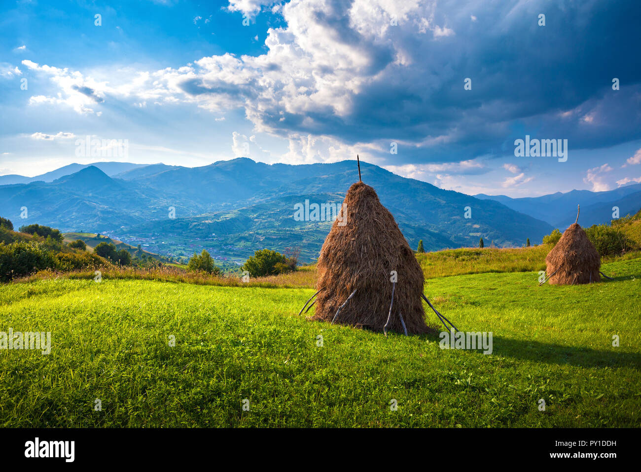 Haystack rural landscape in Romania Stock Photo - Alamy