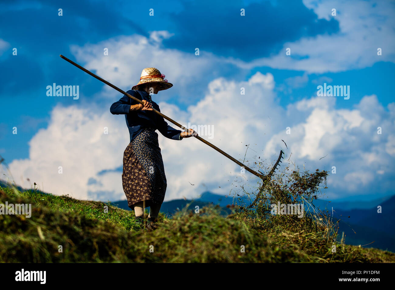 Very old woman working hi-res stock photography and images - Alamy