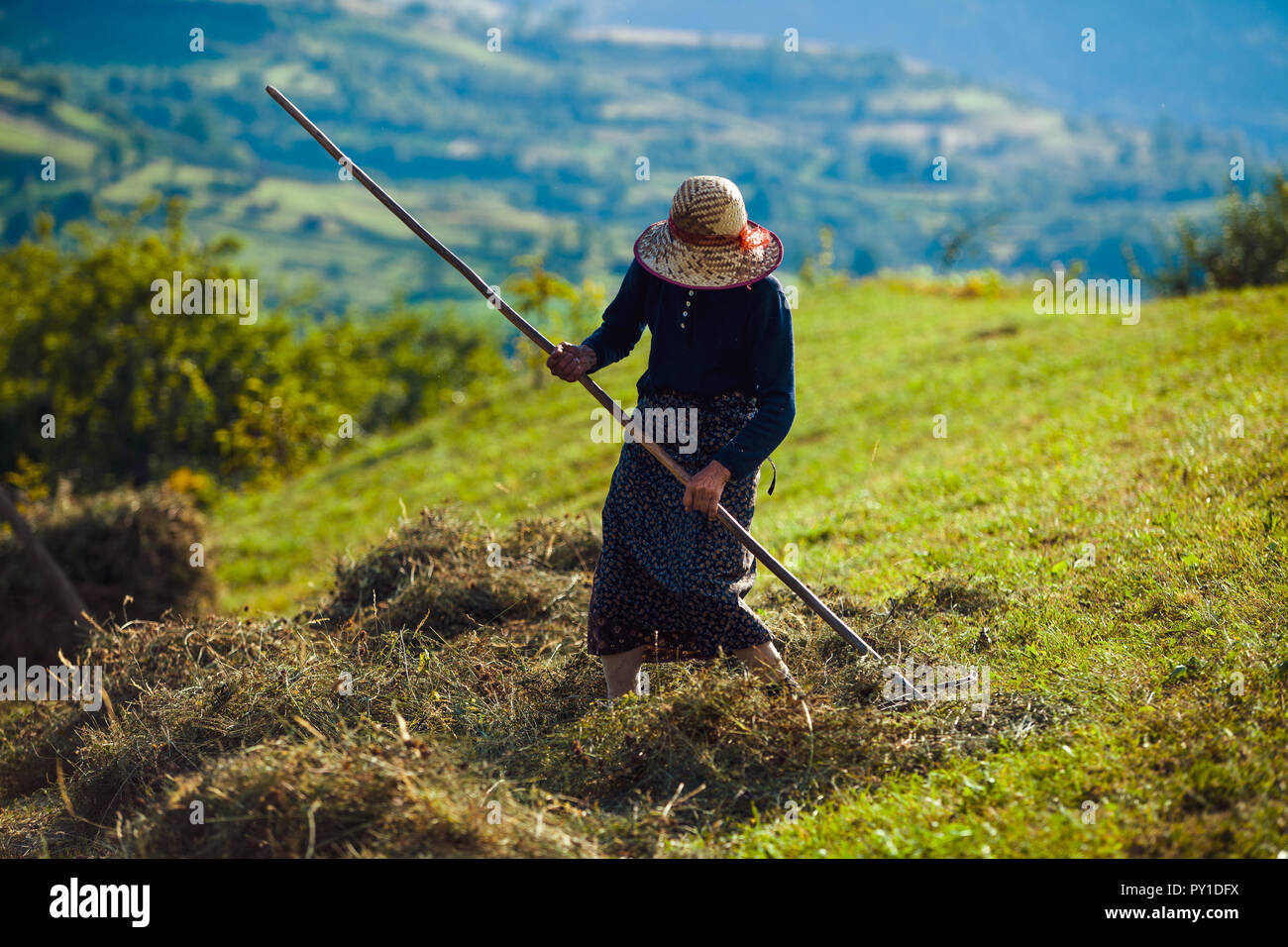 Woman working on the field hi-res stock photography and images - Alamy