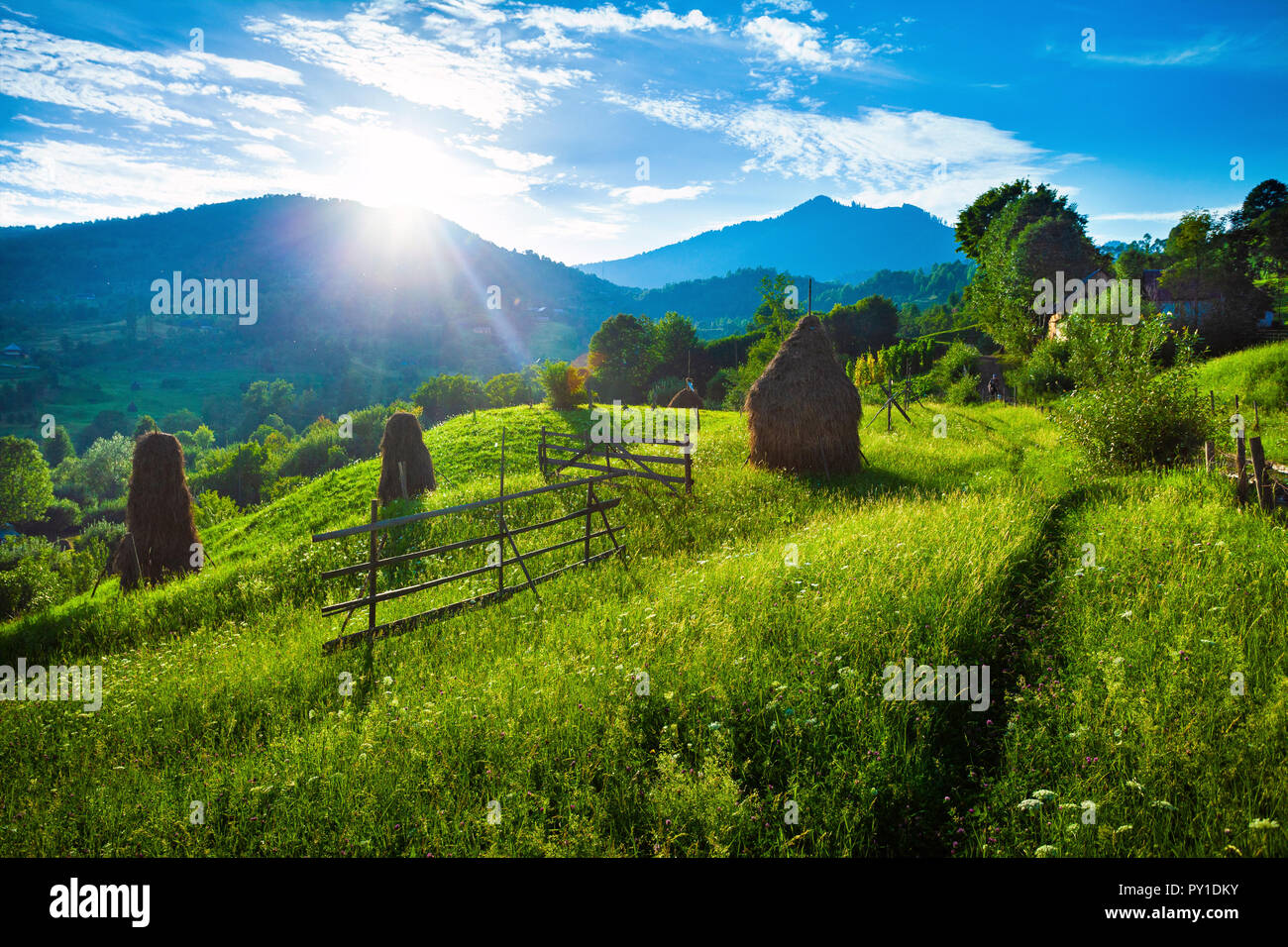Rolling haystack hi-res stock photography and images - Alamy
