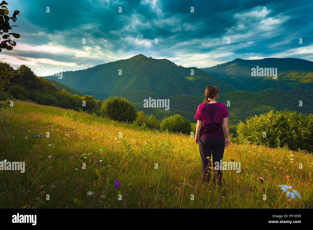 Hills of romania hi-res stock photography and images - Alamy