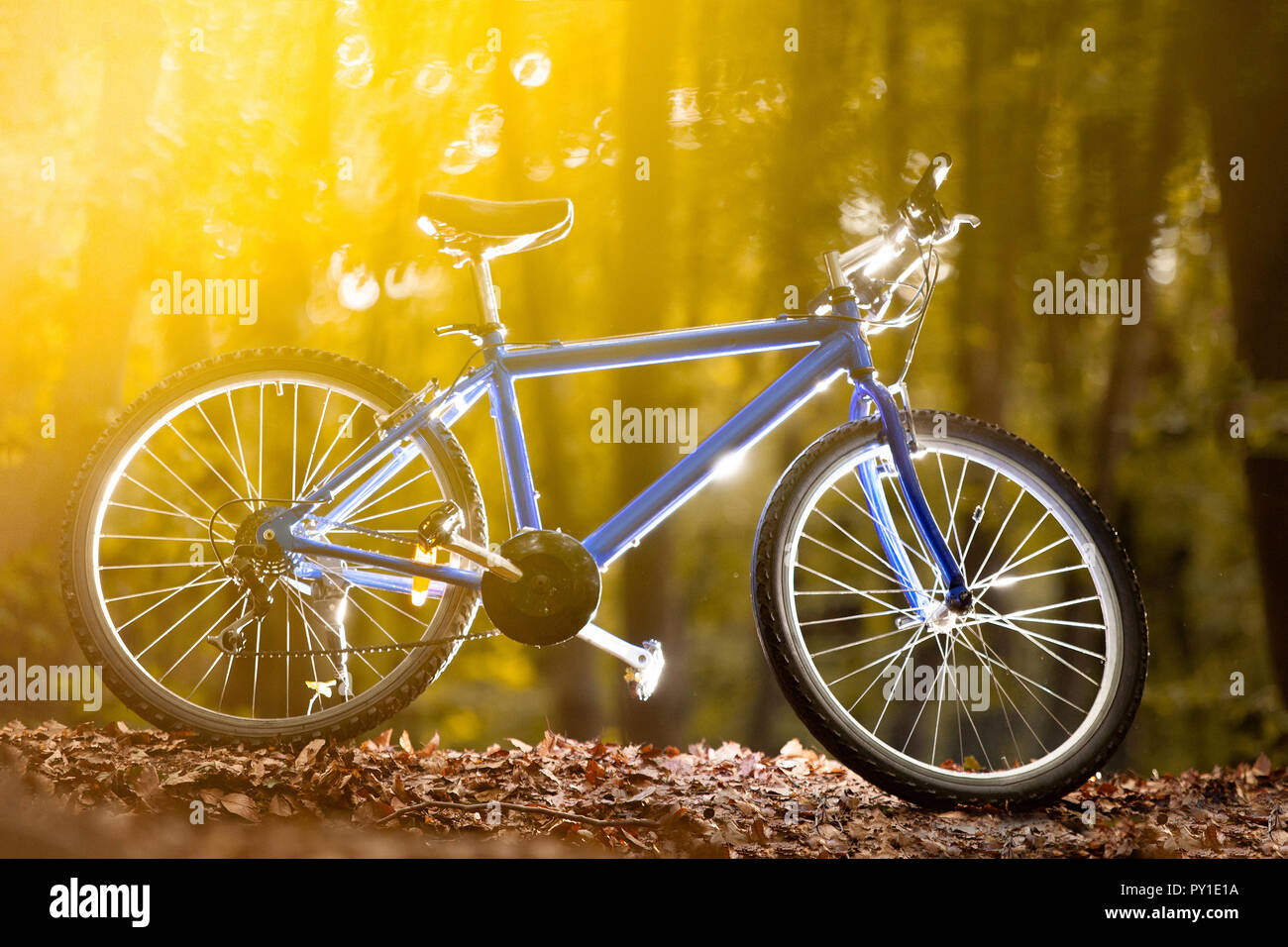 Cycle packing hi-res stock photography and images - Alamy