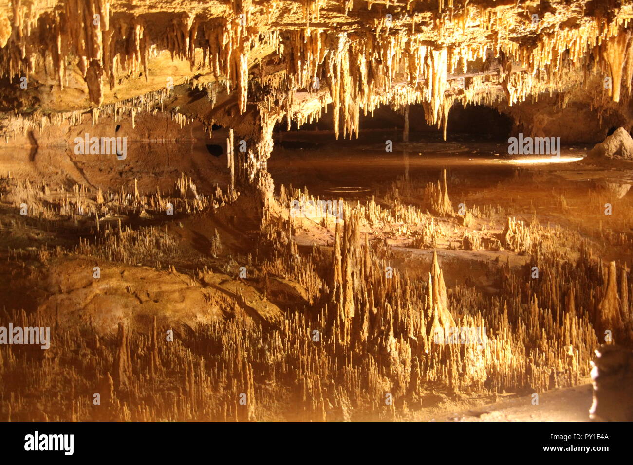 Inside a rock pool hi-res stock photography and images - Alamy
