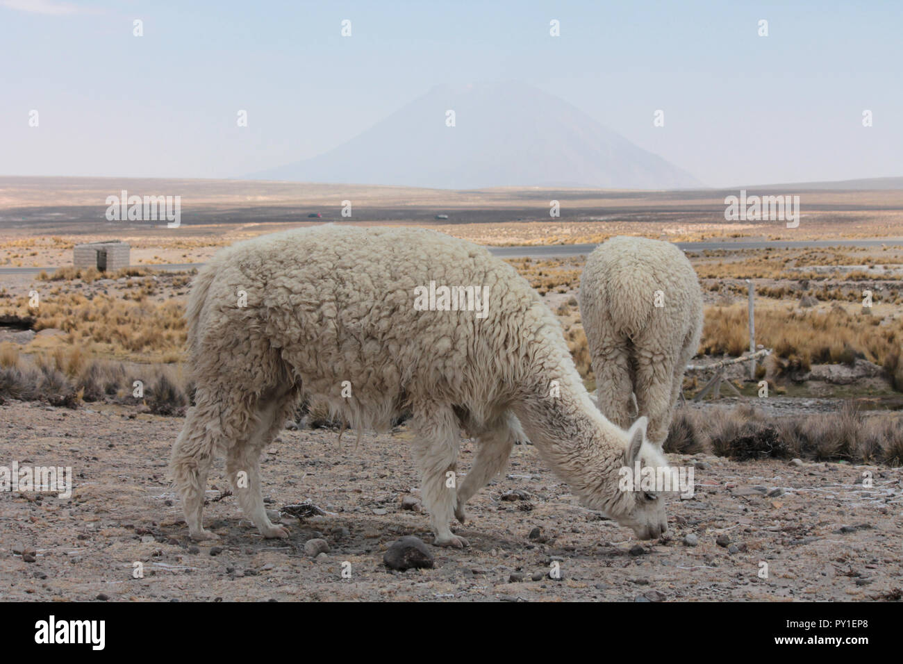 Volcano peru hi-res stock photography and images - Alamy