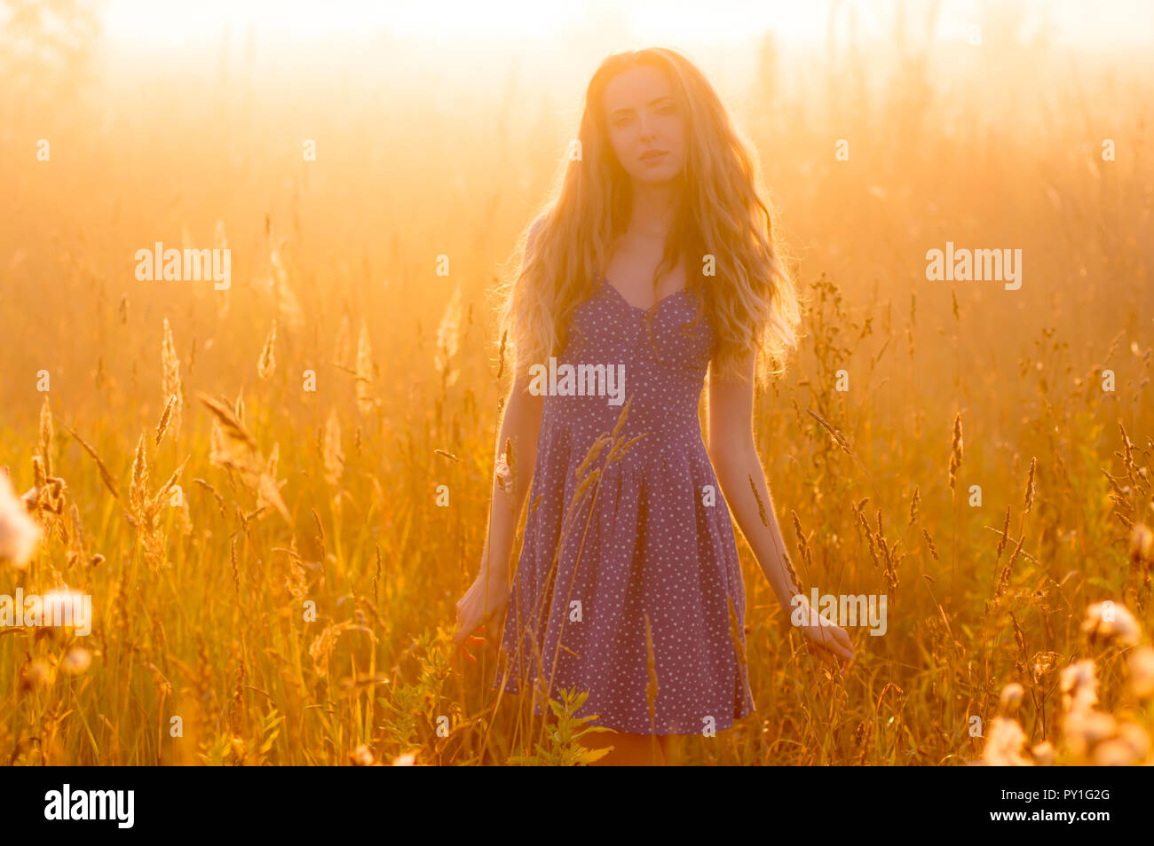 Orange backlight hi-res stock photography and images - Alamy