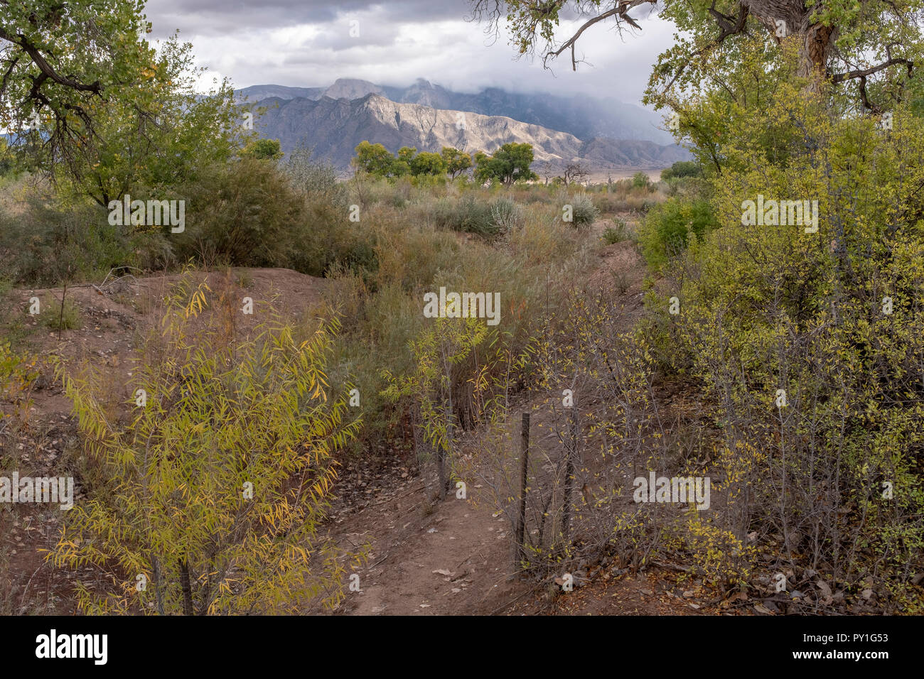 Corrales hi-res stock photography and images - Alamy