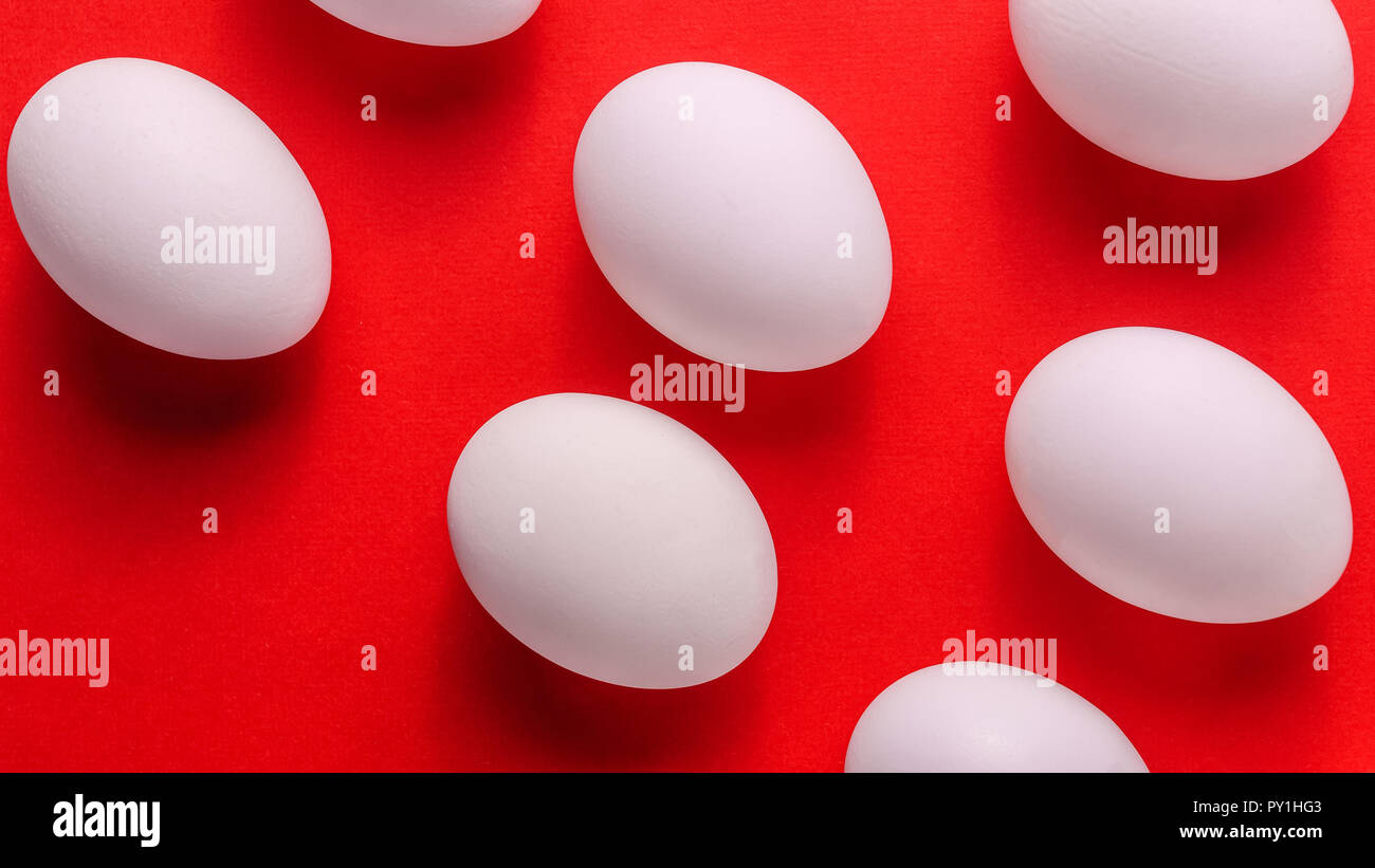 Minimalism style.Banner, Flat lay layout egg pattern on red background ...
