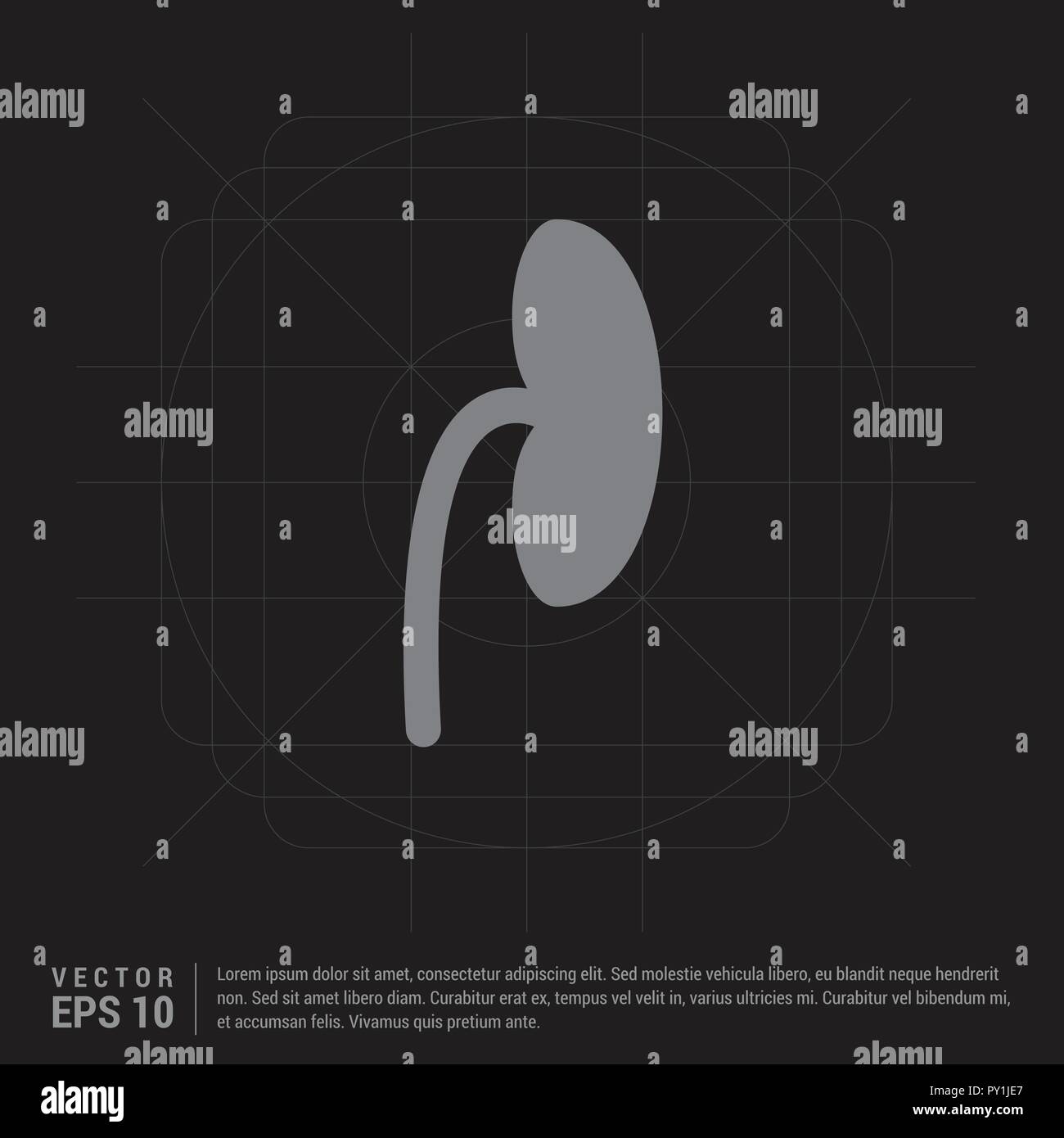 Kidney failure transplantation Stock Vector Images - Alamy