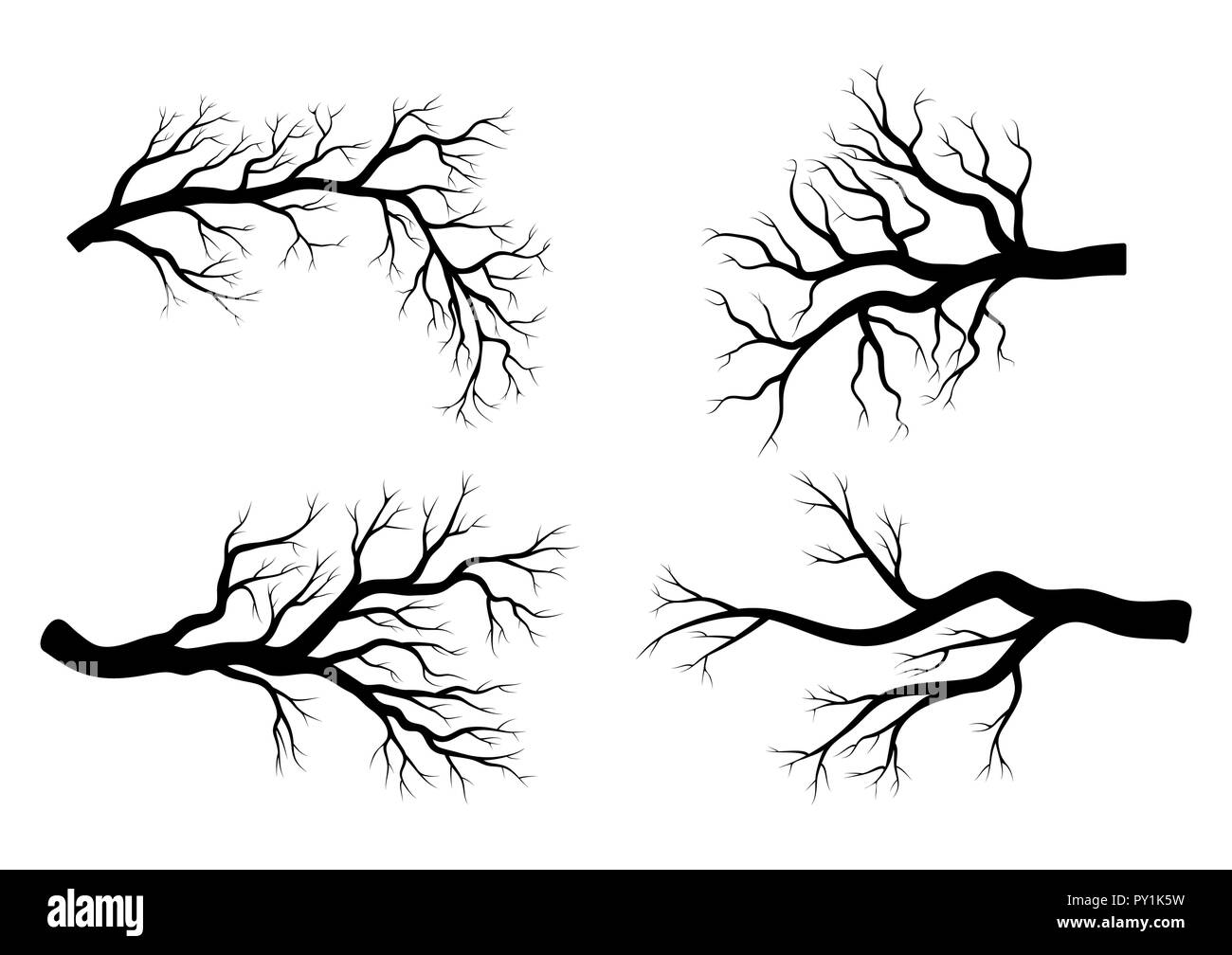 bare branch winter set design isolated on white background Stock Vector ...