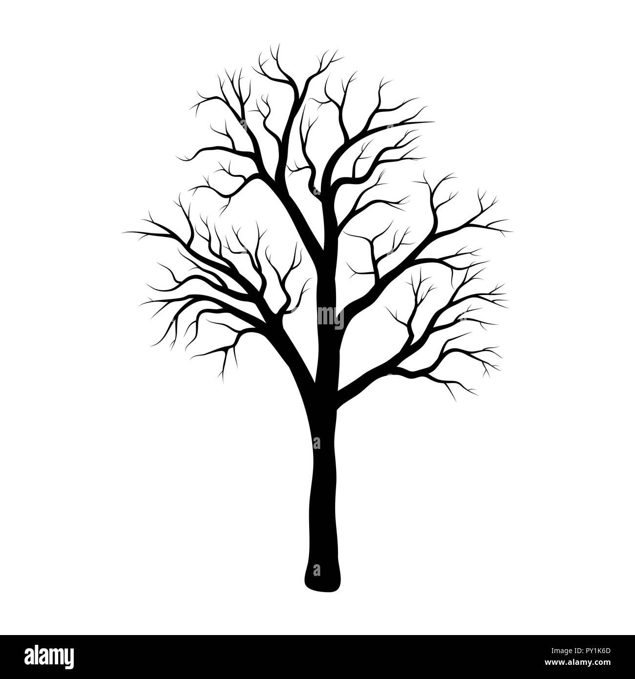 bare tree winter design isolated on white background Stock Vector Image ...