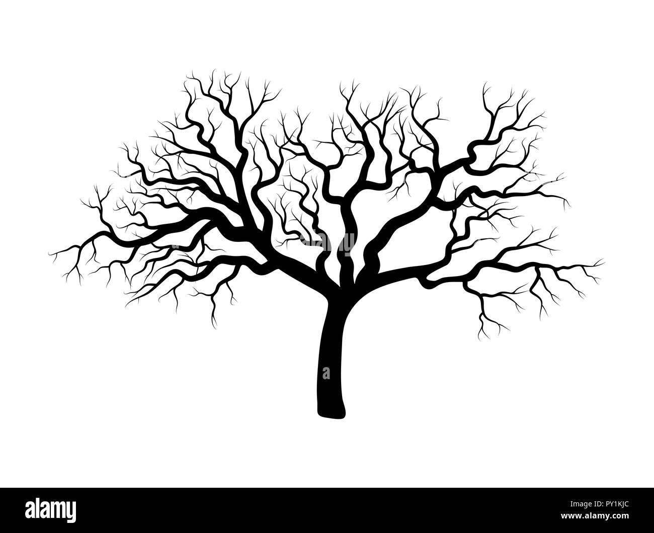 Simple Bare Tree Silhouette Vector