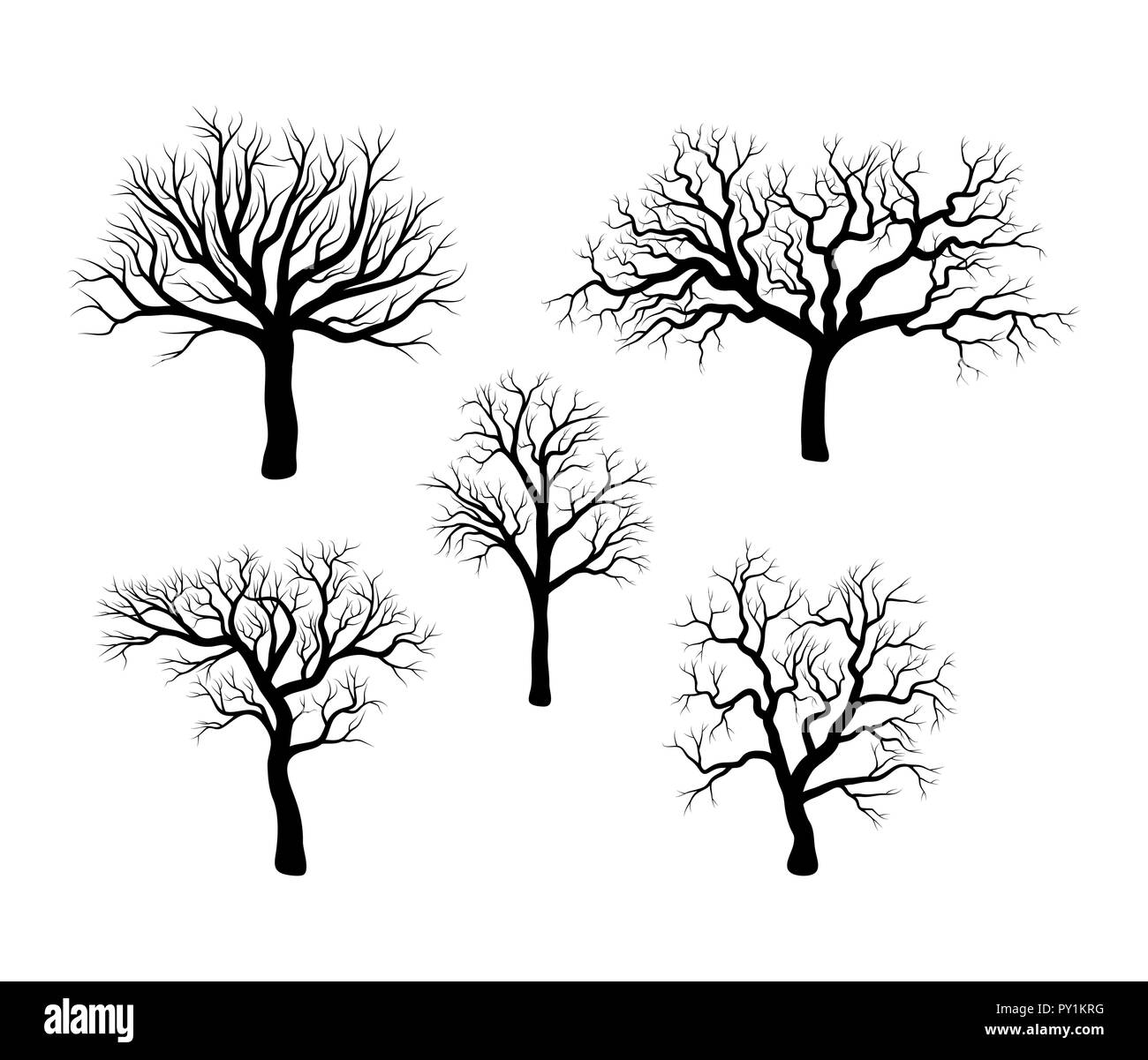 bare tree winter set design isolated on white background Stock Vector ...