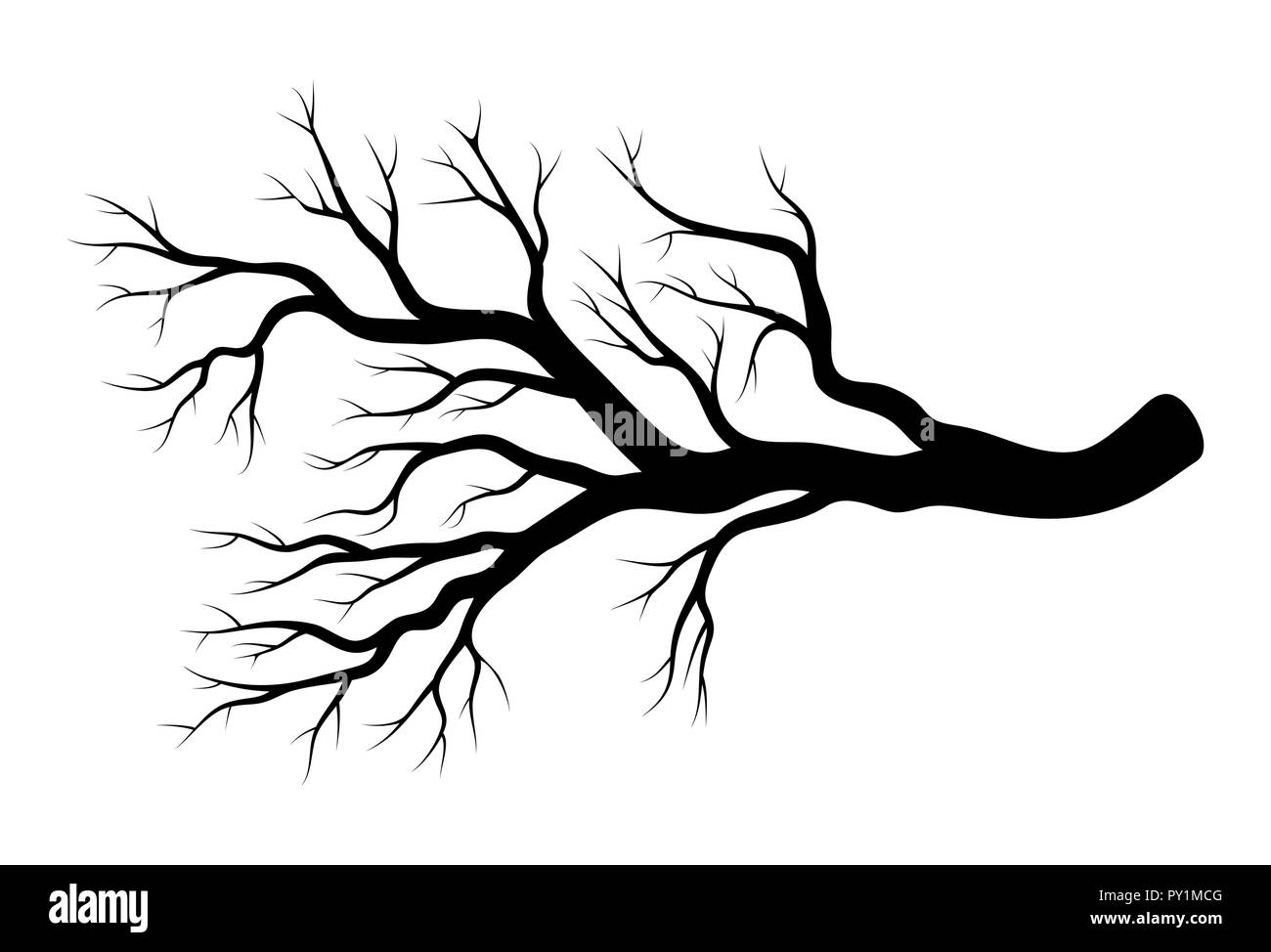 bare branch winter design isolated on white background Stock Vector ...