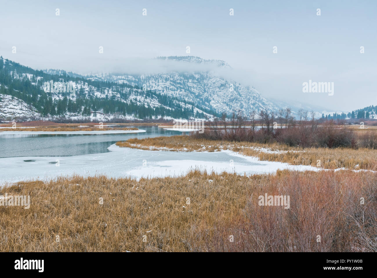 View of frozen marsh and snow covered mountains at Vaseux Lake ...