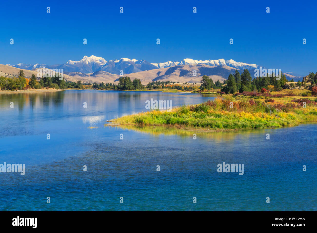 fall colors along the flathead river below the mission mountains near ...