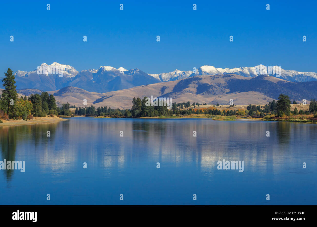 flathead river in autumn below the mission mountains near dixon ...