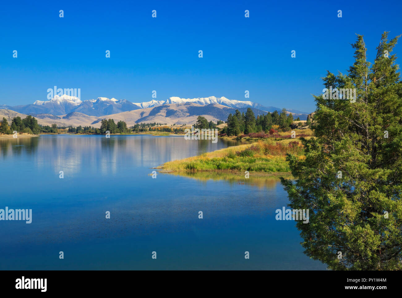 fall colors along the flathead river below the mission mountains near ...