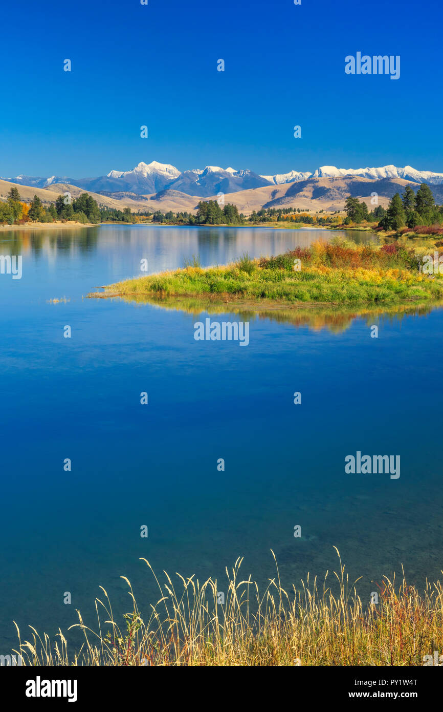 fall colors along the flathead river below the mission mountains near ...