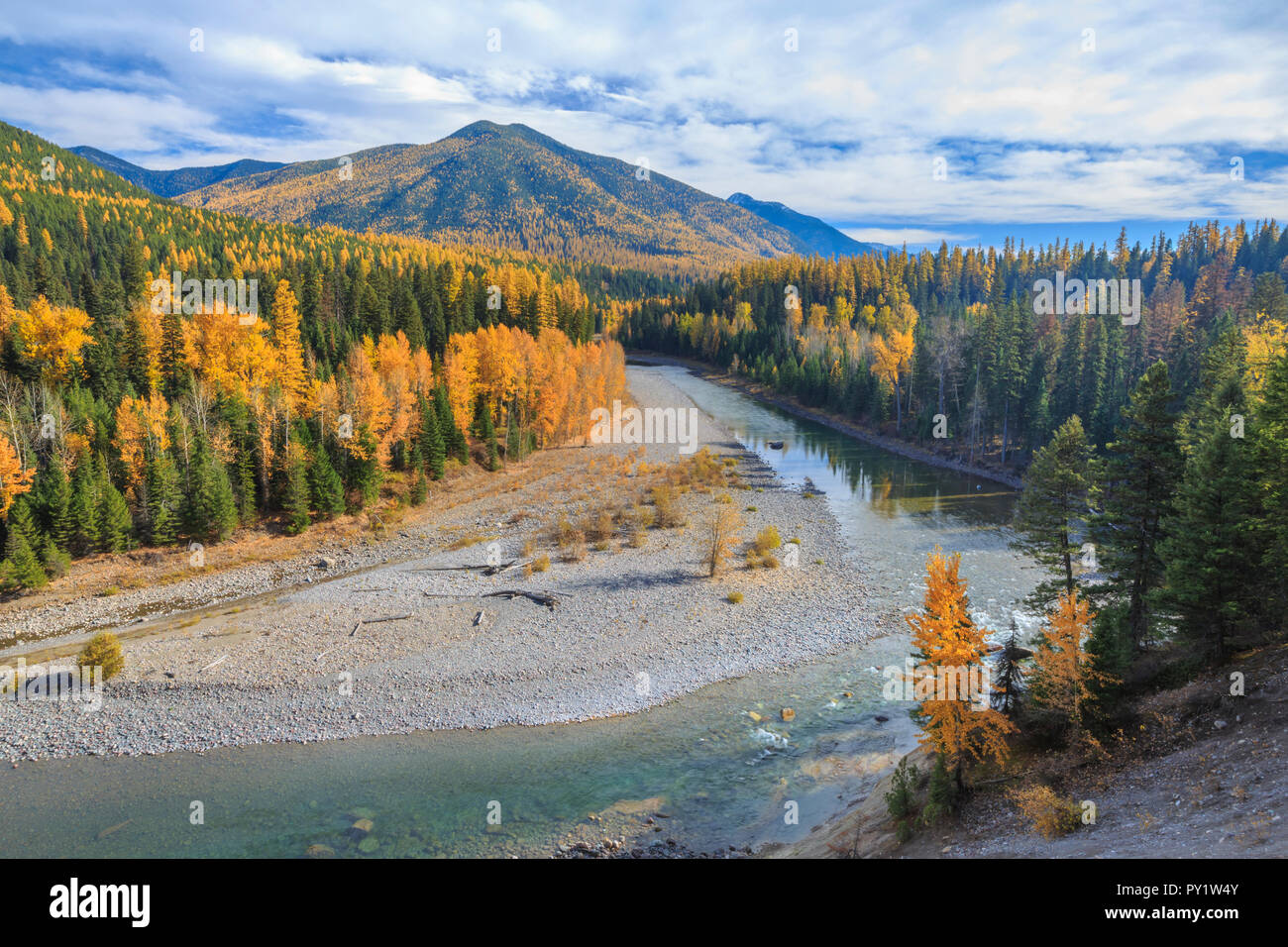 fall colors along the middle fork flathead river on the border of ...