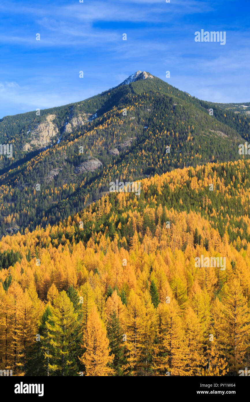 Mt d8390 hi-res stock photography and images - Alamy