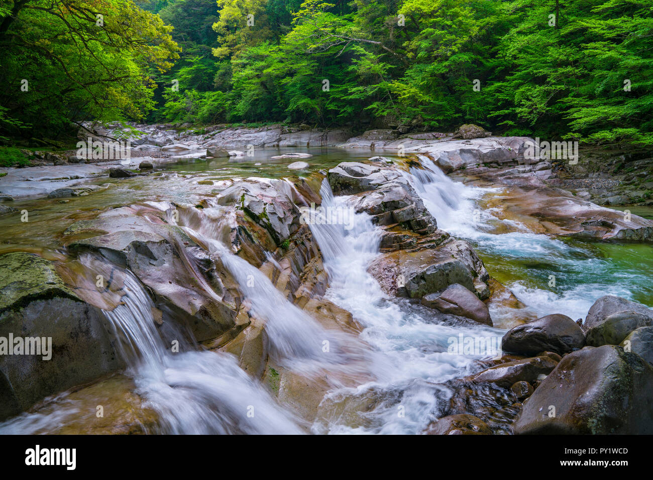 Ehime prefecture hi-res stock photography and images - Alamy